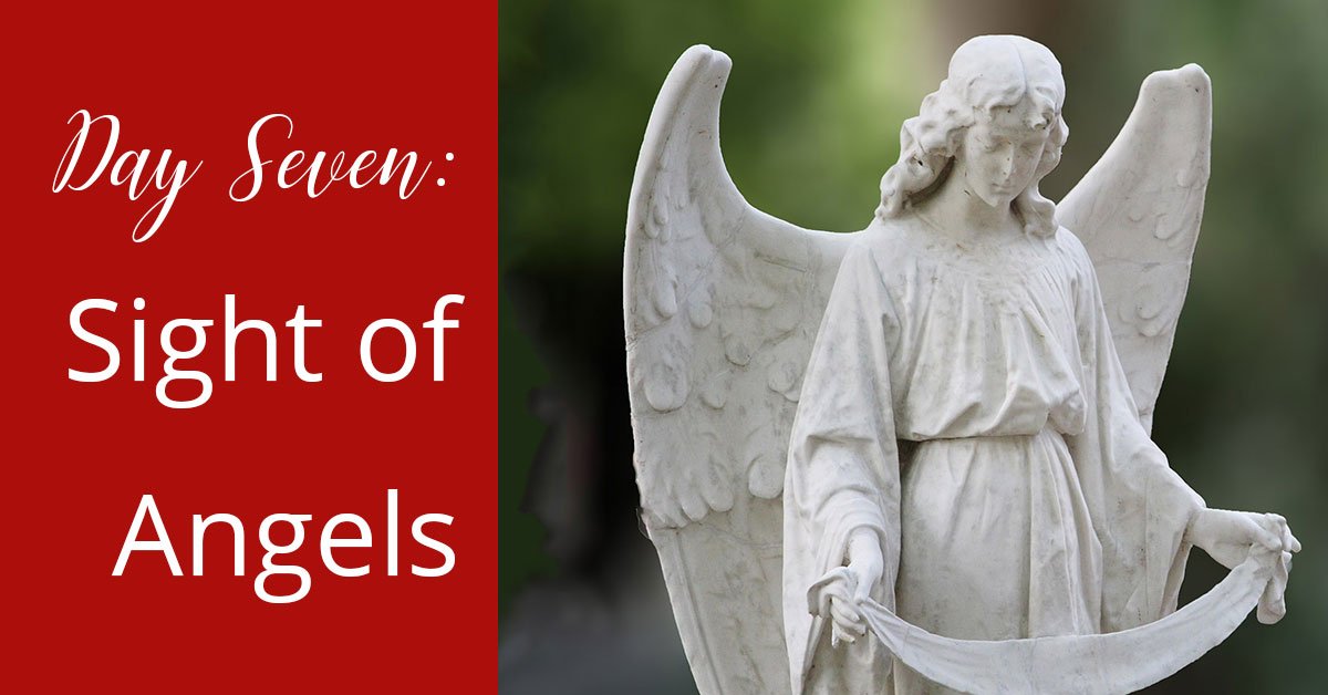 Christmas Novena Day Seven: Sight of Angels